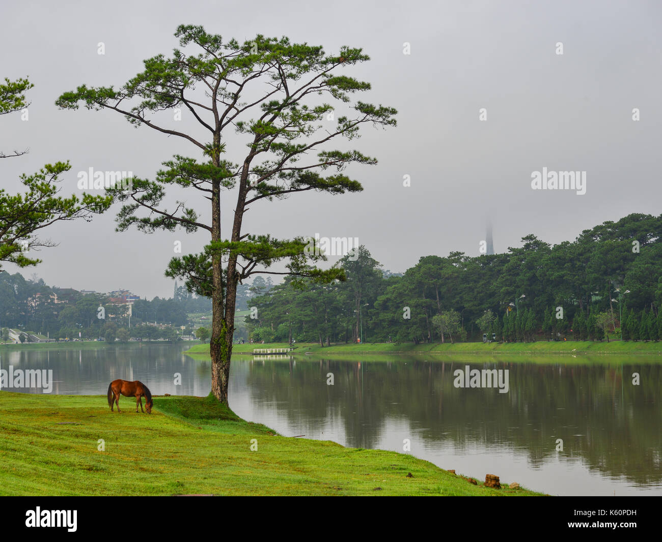 Lake scenery at summer in Dalat, Vietnam. Da Lat is a popular tourist ...