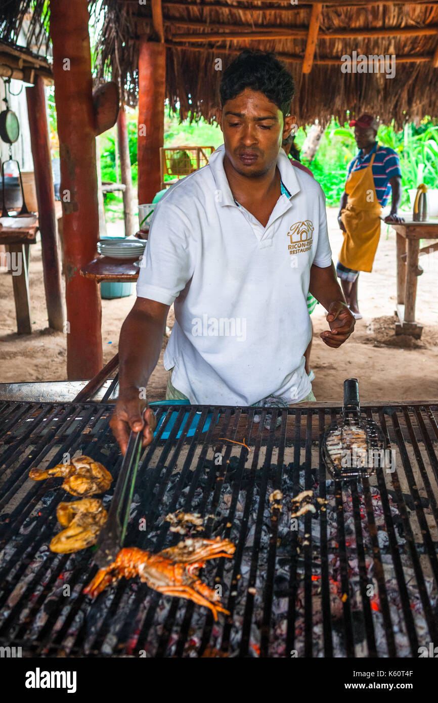 Men cooking lobster Stock Photo - Alamy