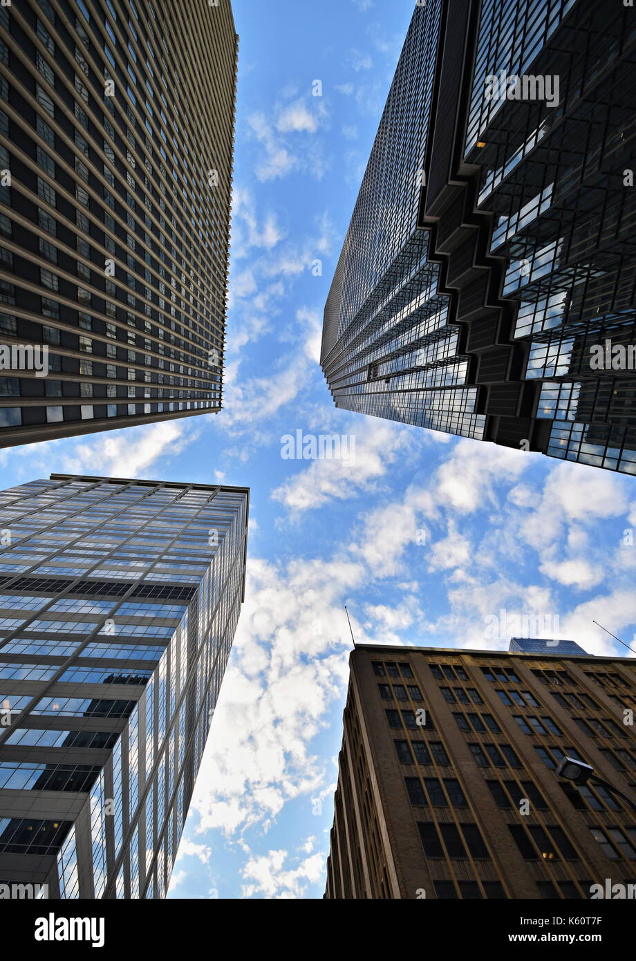 Ground Level Perspective Pictures