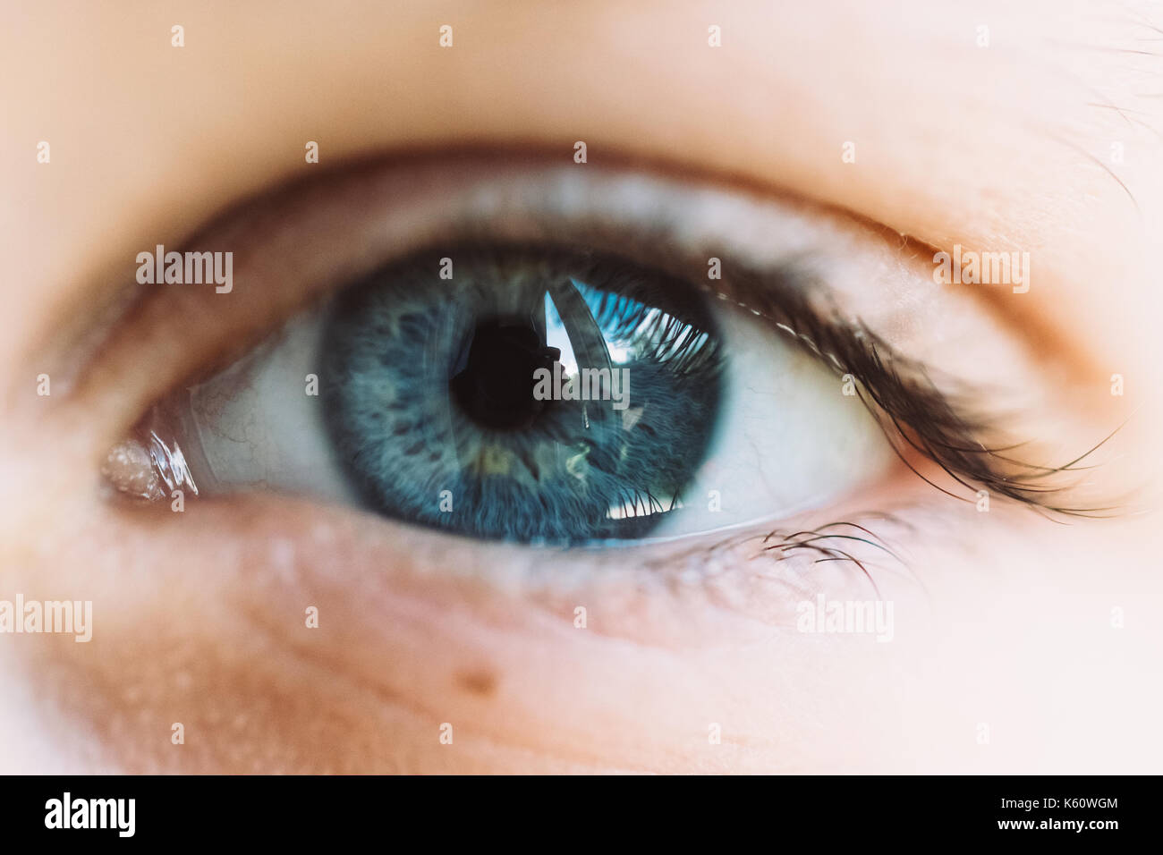 Beautiful blue single eye Stock Photo - Alamy