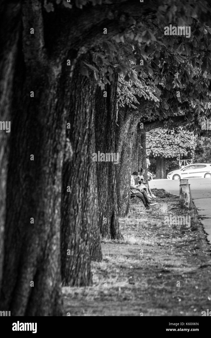 people sitting among trees alongside a road in Paris Stock Photo - Alamy