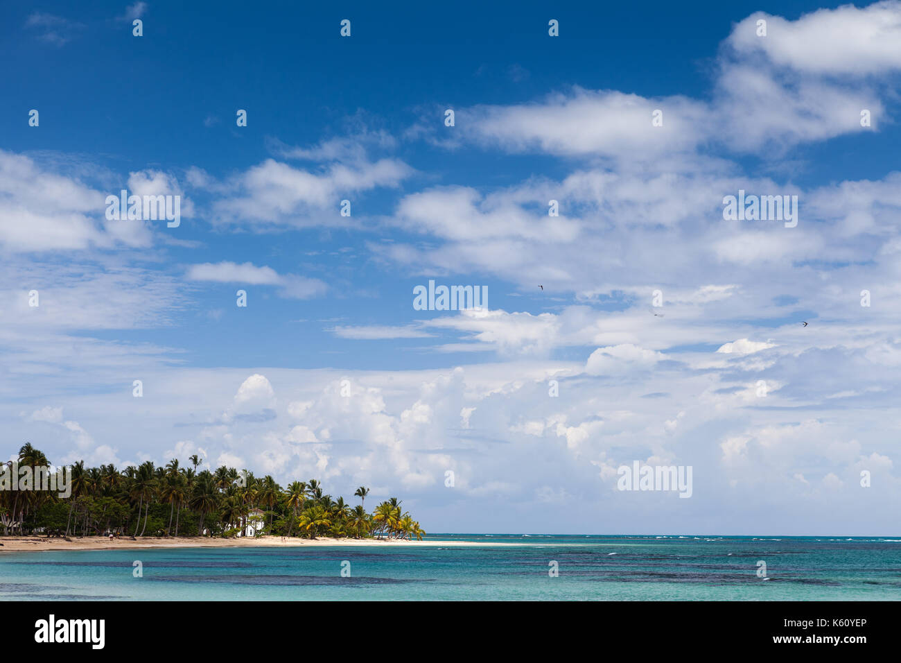 Tropical shore line Stock Photo - Alamy