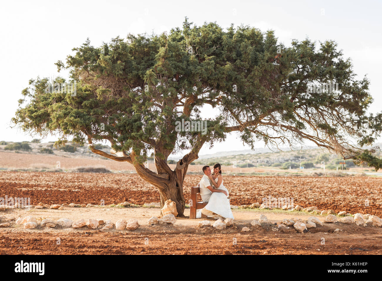 Woman sat under tree hi-res stock photography and images - Alamy