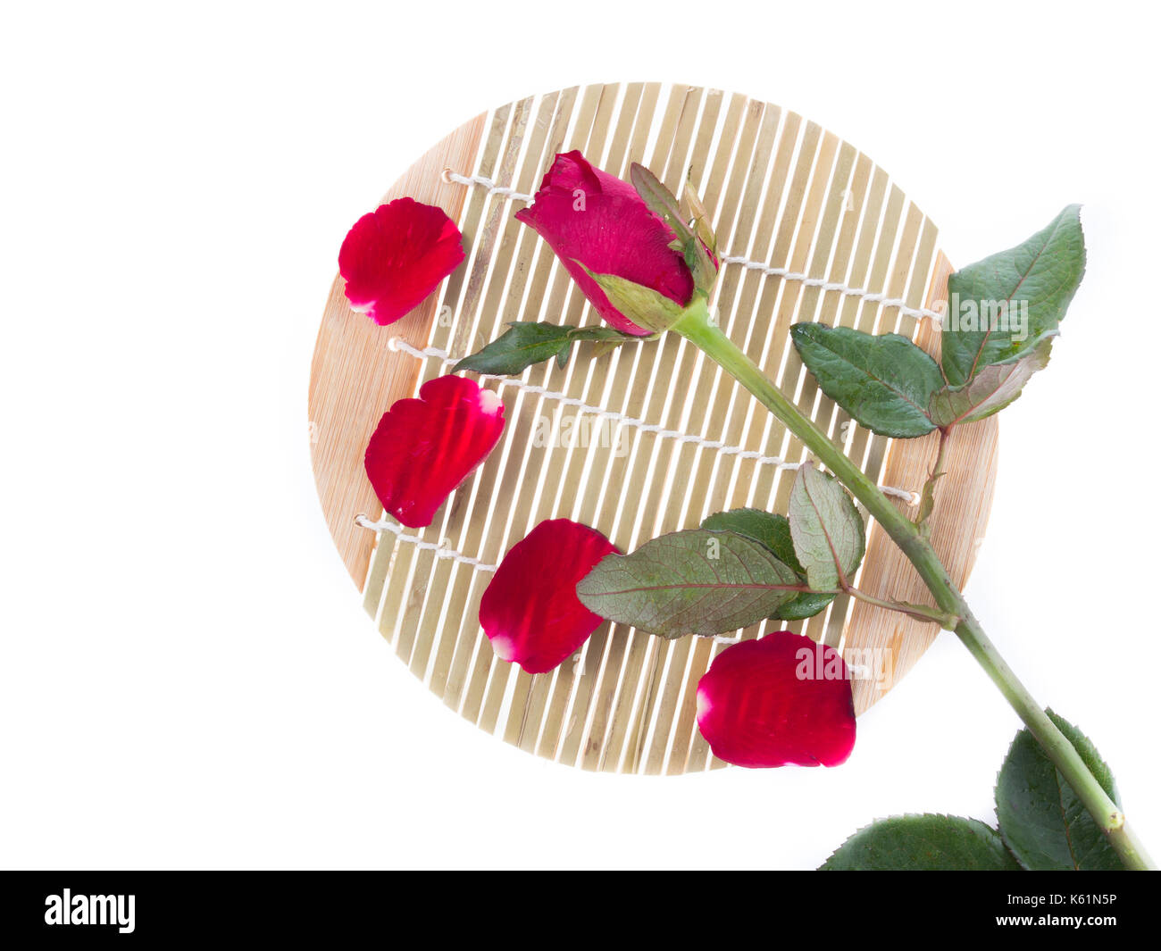 red roses isolated on white background Stock Photo - Alamy