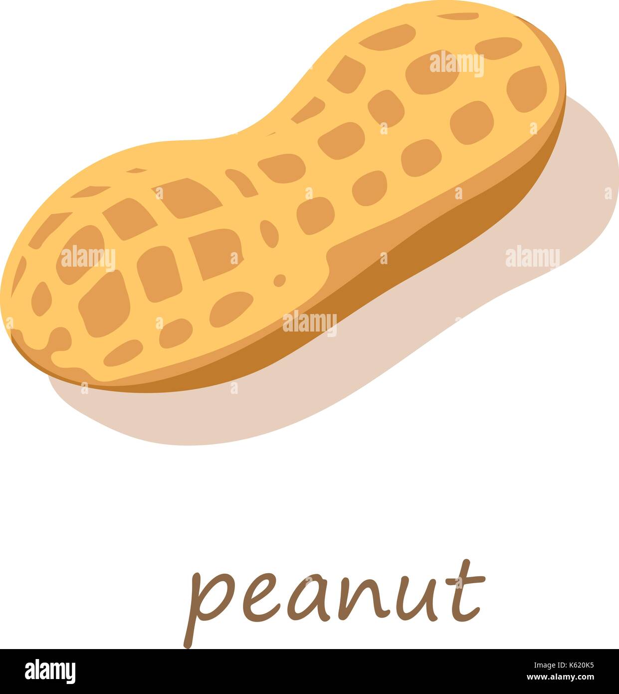 Peanut icon, isometric 3d style Stock Vector Image & Art - Alamy