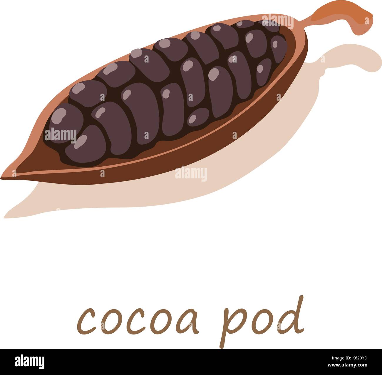 Cocoa pod icon, isometric 3d style Stock Vector Image & Art - Alamy