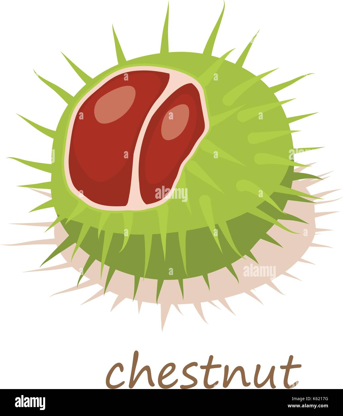 Chestnut icon, isometric 3d style Stock Vector Image & Art - Alamy