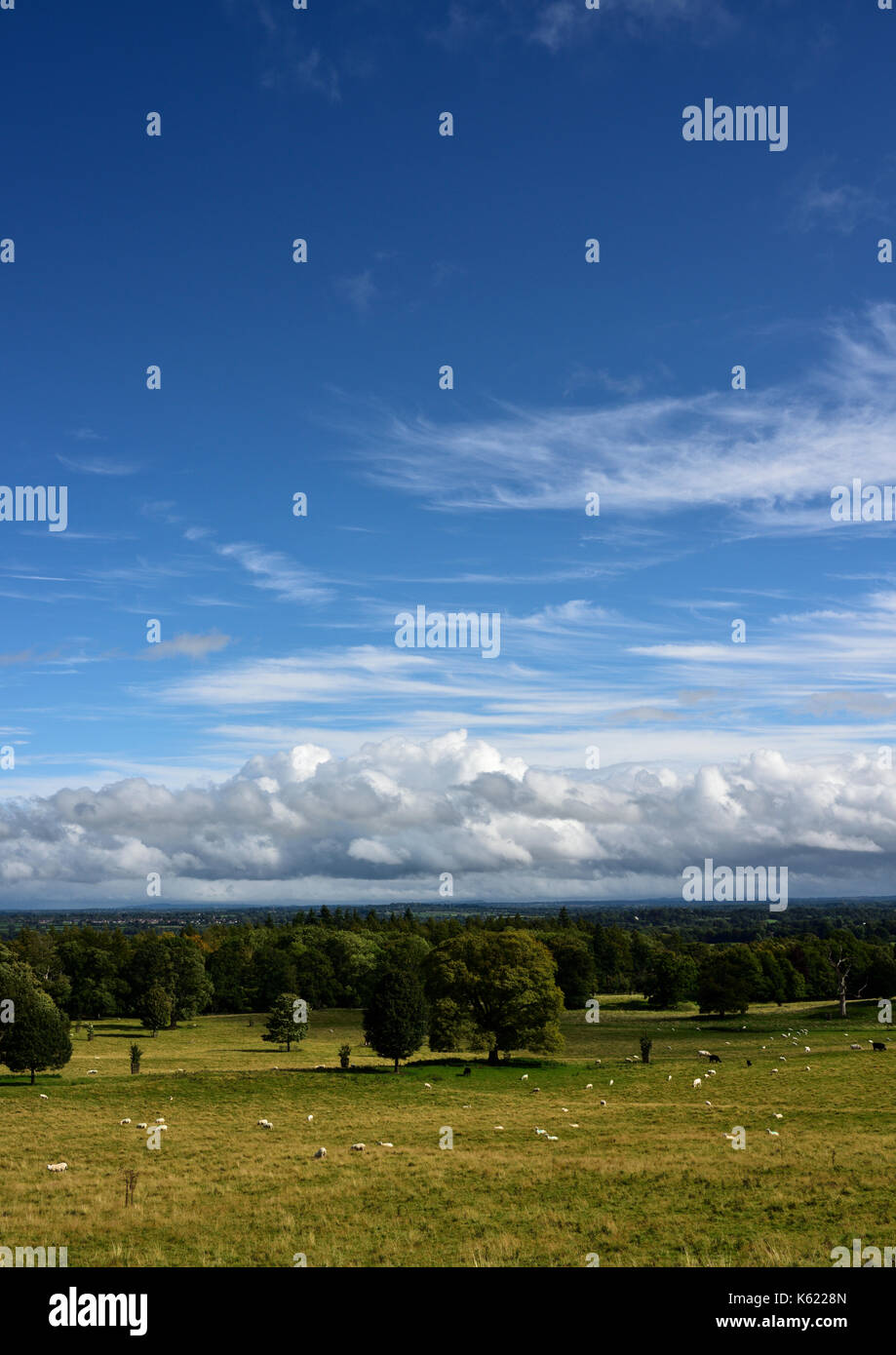 Cumulus humilis clouds and cirrus clouds over north wales countryside ...