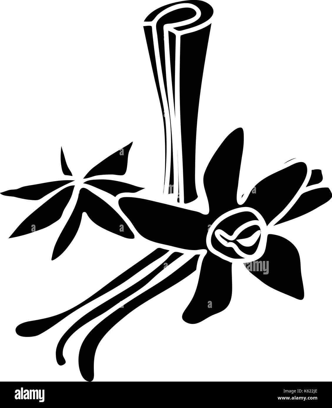 Food spices anise Black and White Stock Photos & Images - Alamy