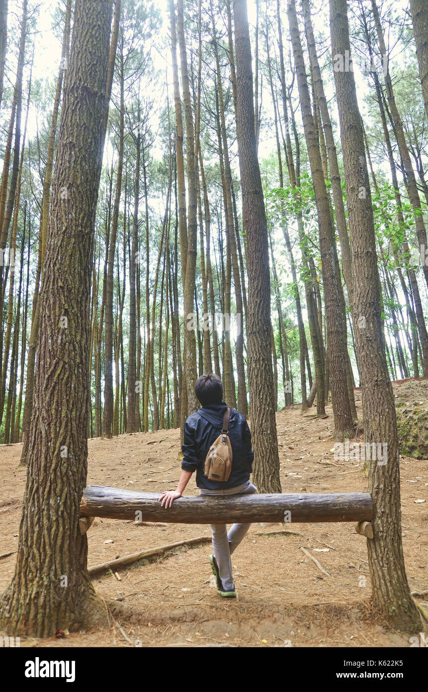Sitting under log hi-res stock photography and images - Alamy