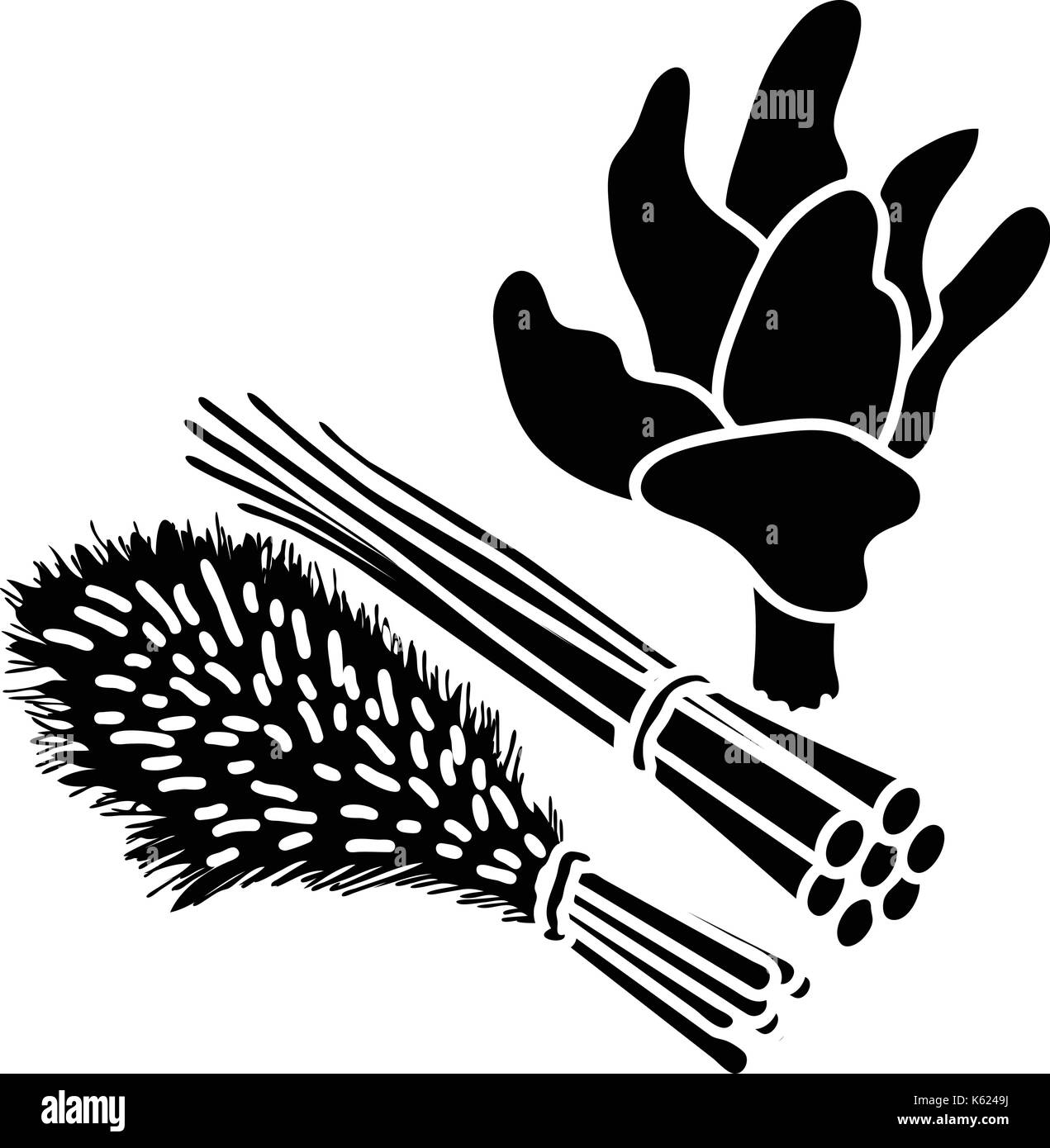 Fresh green spring onion Black and White Stock Photos & Images - Alamy