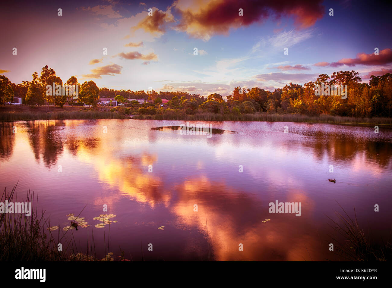 Sunset on wetlands hi-res stock photography and images - Alamy