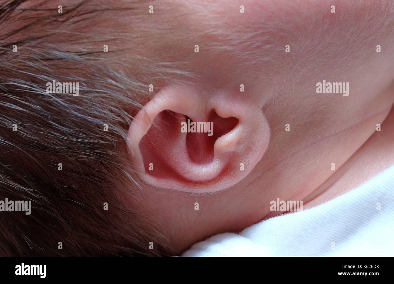 New Born Babies Stock Photos & New Born Babies Stock Images - Alamy
