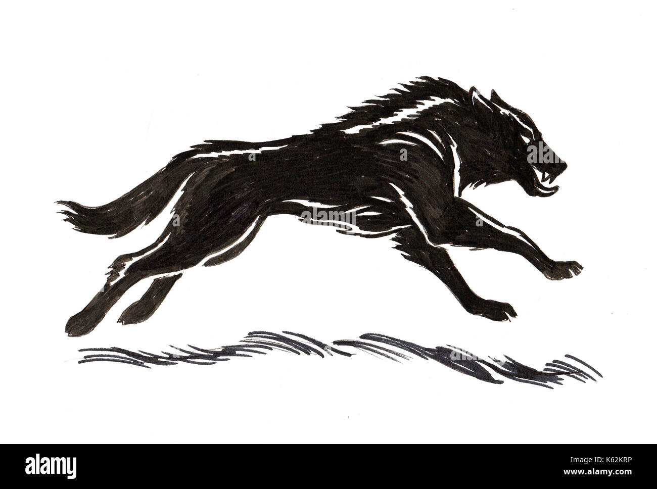 Black Wolf Running