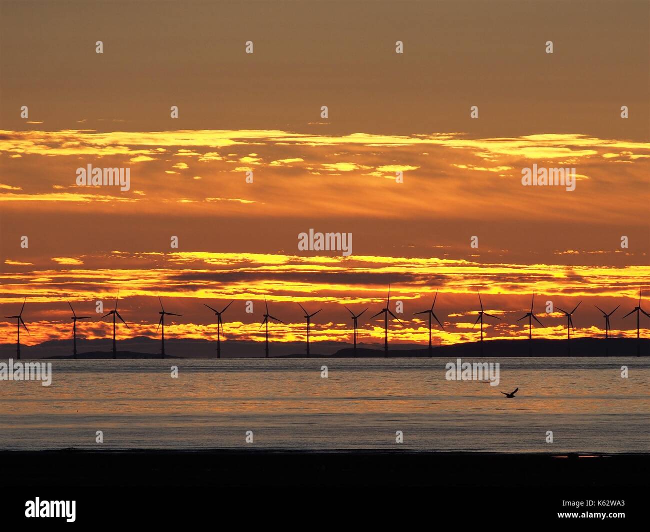 Robin Rigg Off-shore Windfarm silhouetted by clouds lit by the setting ...