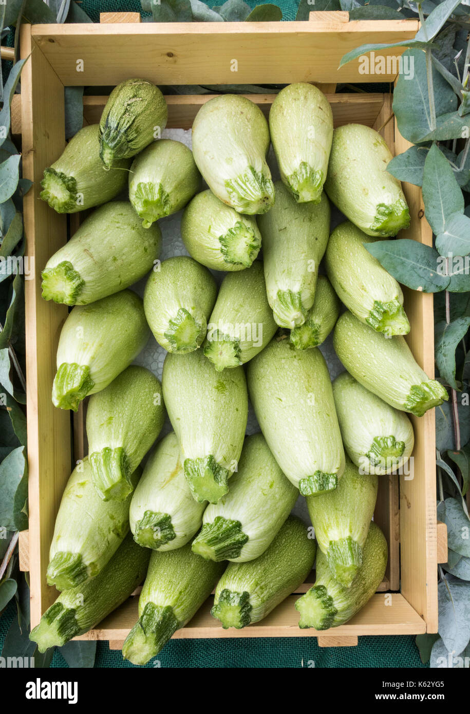 Market garden of spain hi-res stock photography and images - Alamy