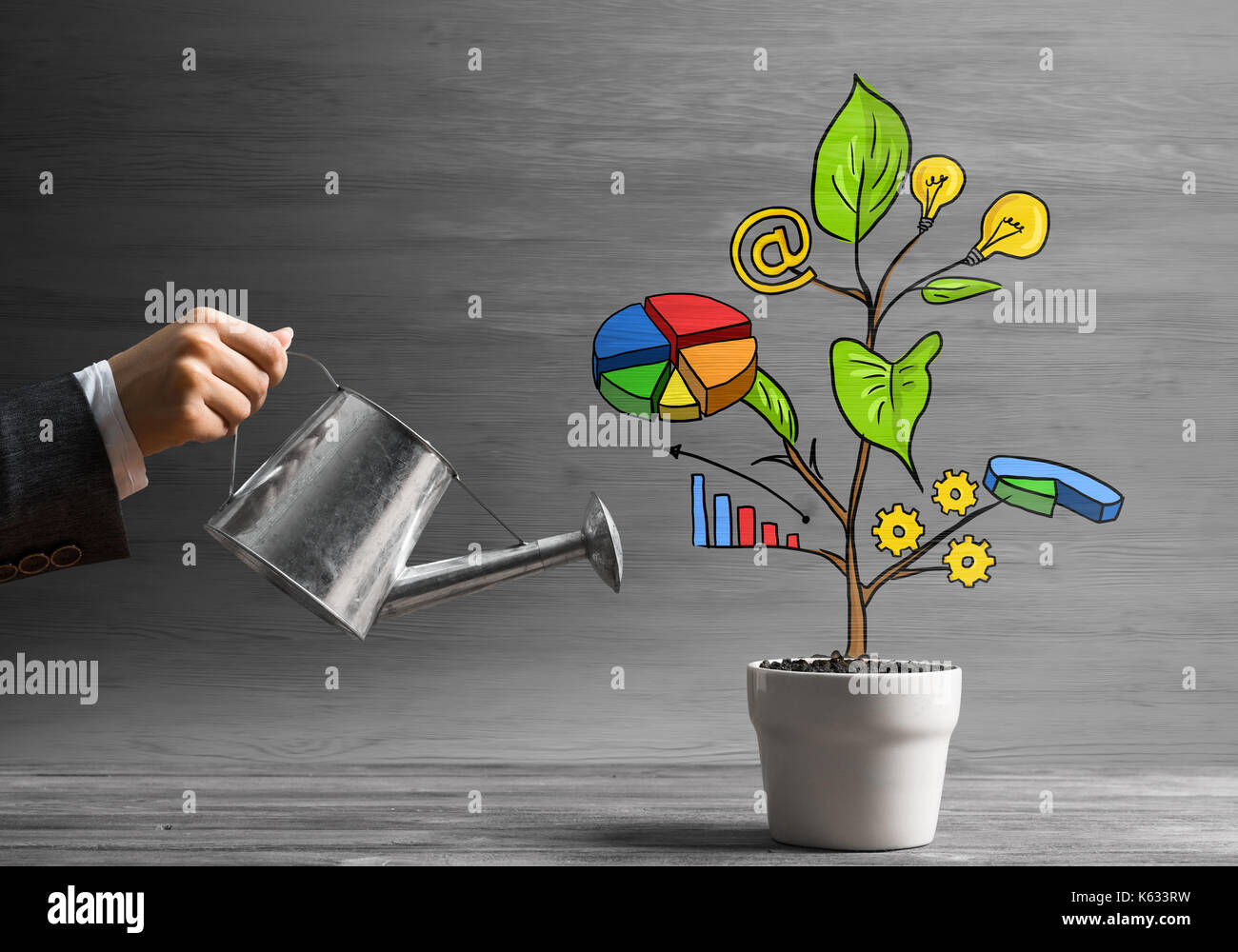 Drawn income tree in white pot for business investment savings and ...