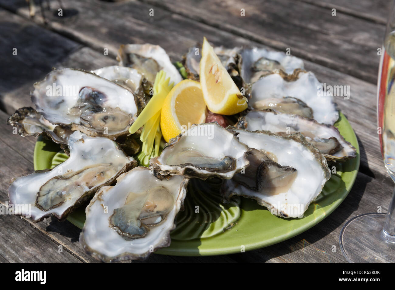 Mersea Island Oyster High Resolution Stock Photography and Images - Alamy