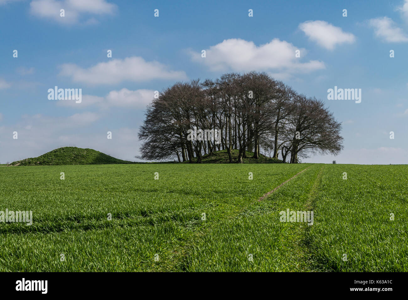 Small grass mound hi-res stock photography and images - Alamy