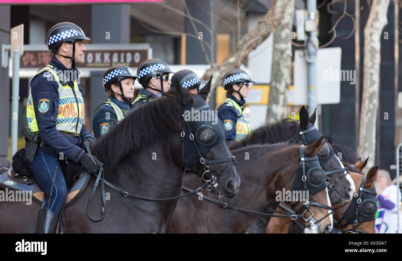Australian mounted police hi-res stock photography and images - Alamy