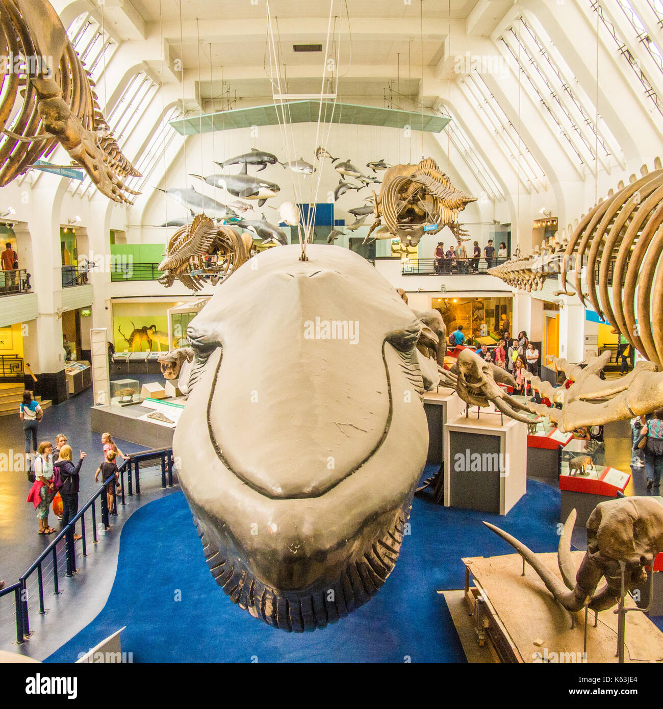London camera museum hi-res stock photography and images - Alamy