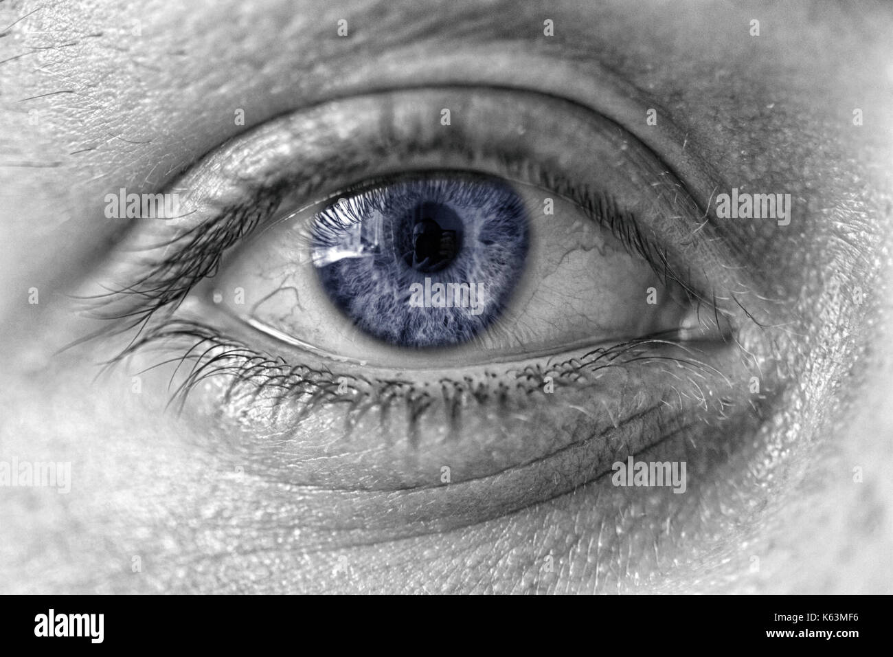 the human eye closeup. blue pupil Stock Photo - Alamy