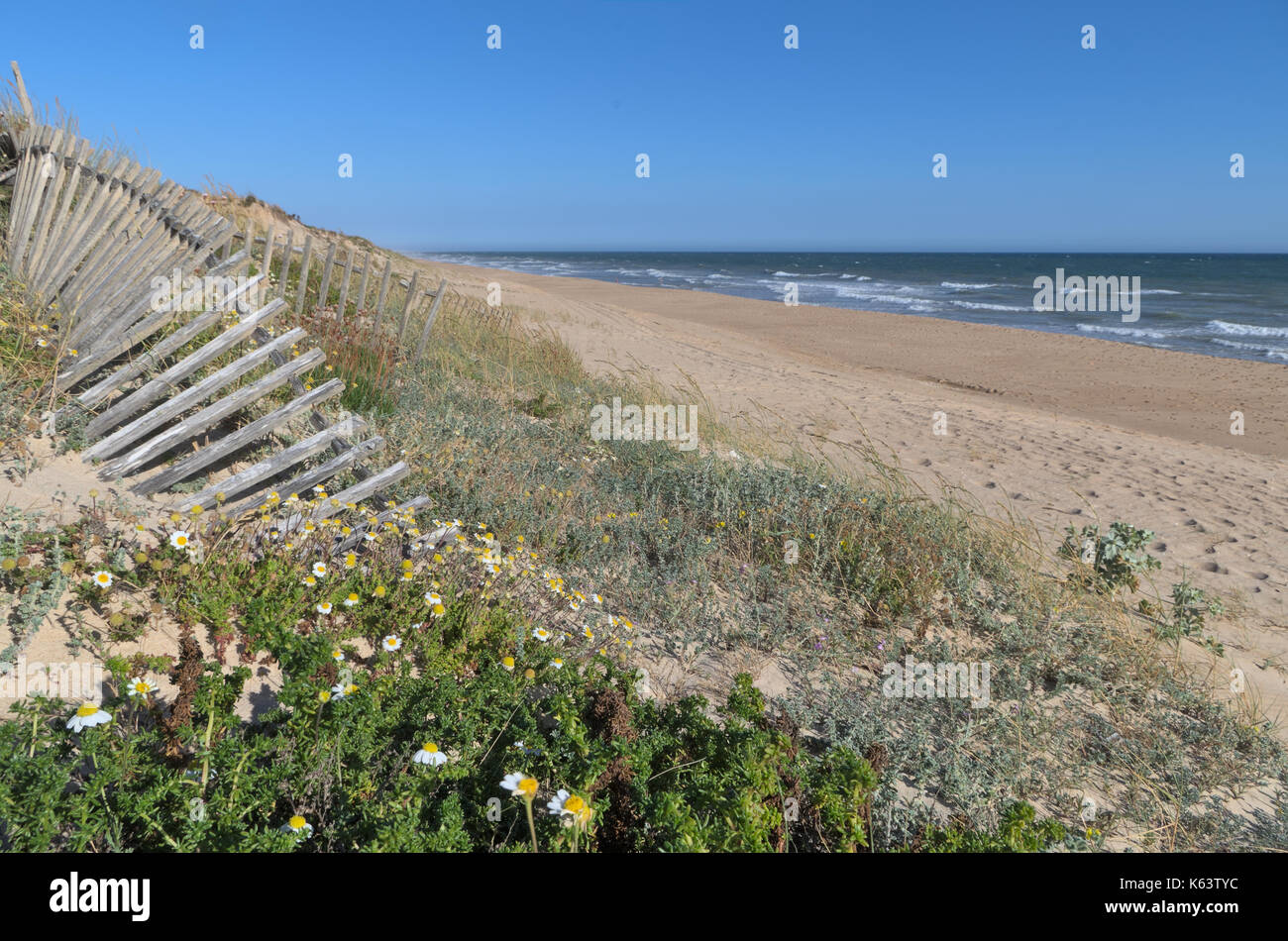 Sand dunes in Faro beach. Algarve, Portugal Stock Photo - Alamy