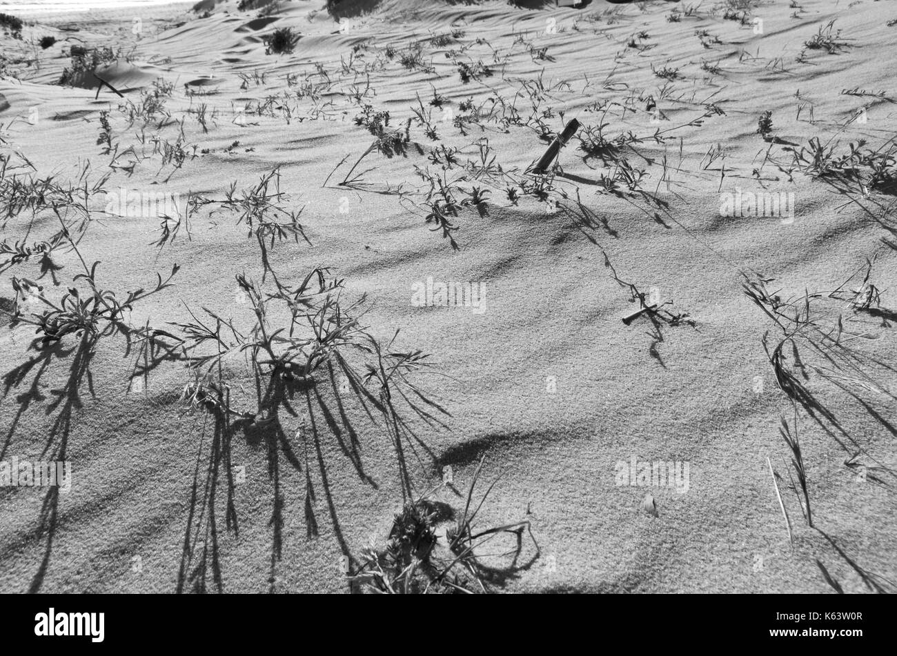 Sunny beach sand Black and White Stock Photos & Images - Alamy