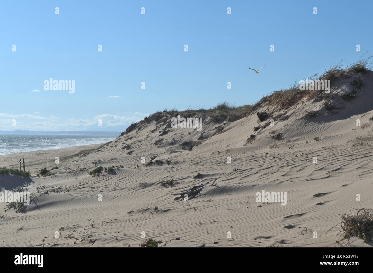 Sand dunes in Faro beach. Algarve, Portugal Stock Photo - Alamy