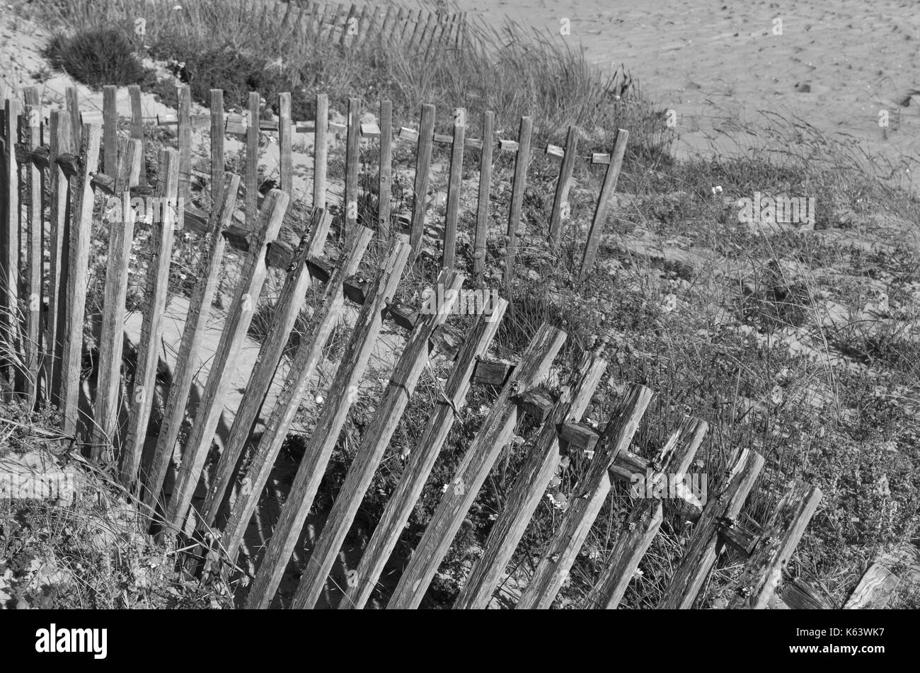 Sunny beach sand Black and White Stock Photos & Images - Alamy