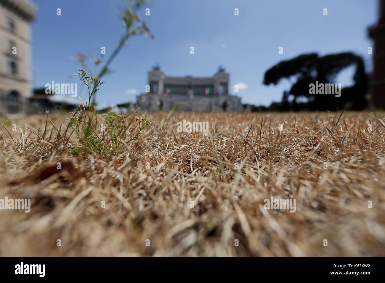 Dry flower beds in Piazza Venezia in Rome, Italy, as southern Europe is ...