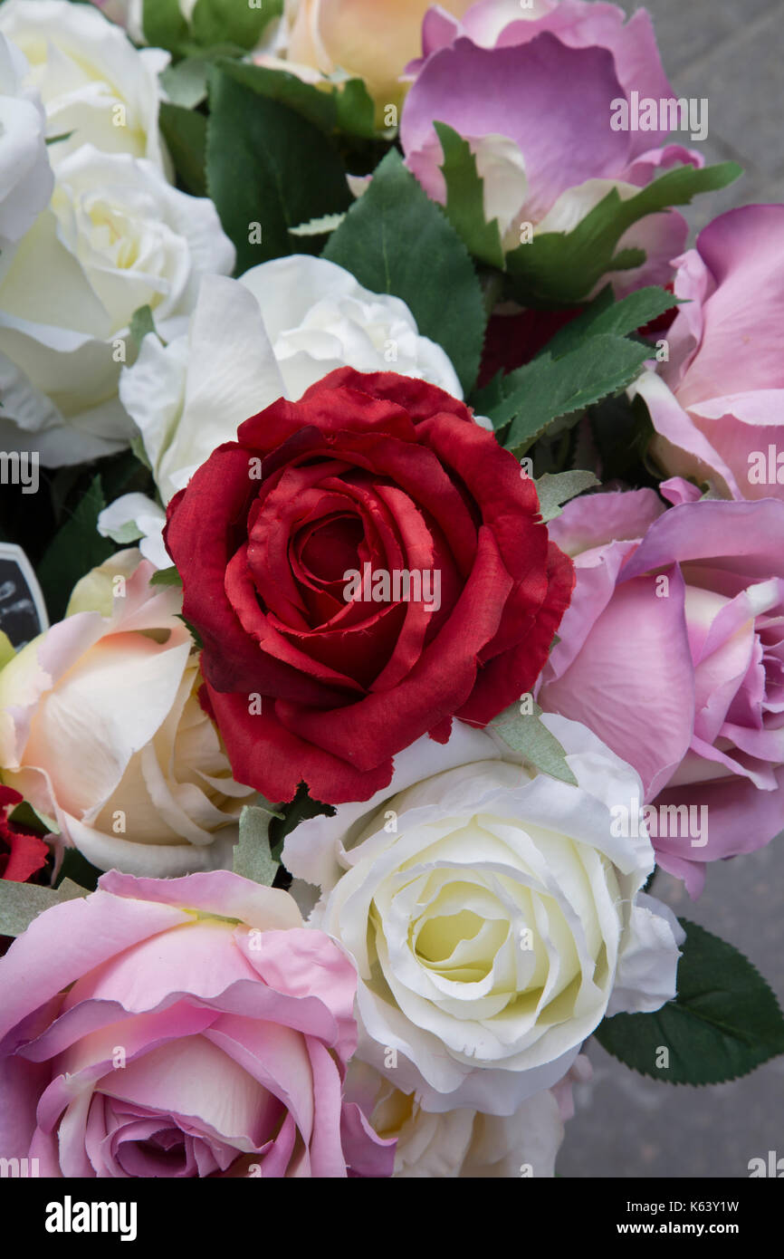 Red, White and Pink Roses for Sale on Market Stall Stock Photo - Alamy