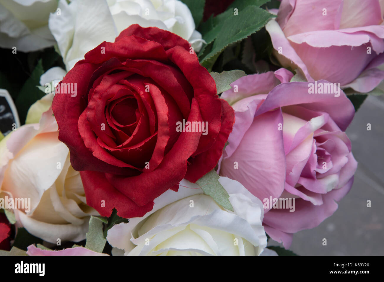 Red, White and Pink Roses for Sale on Market Stall Stock Photo - Alamy