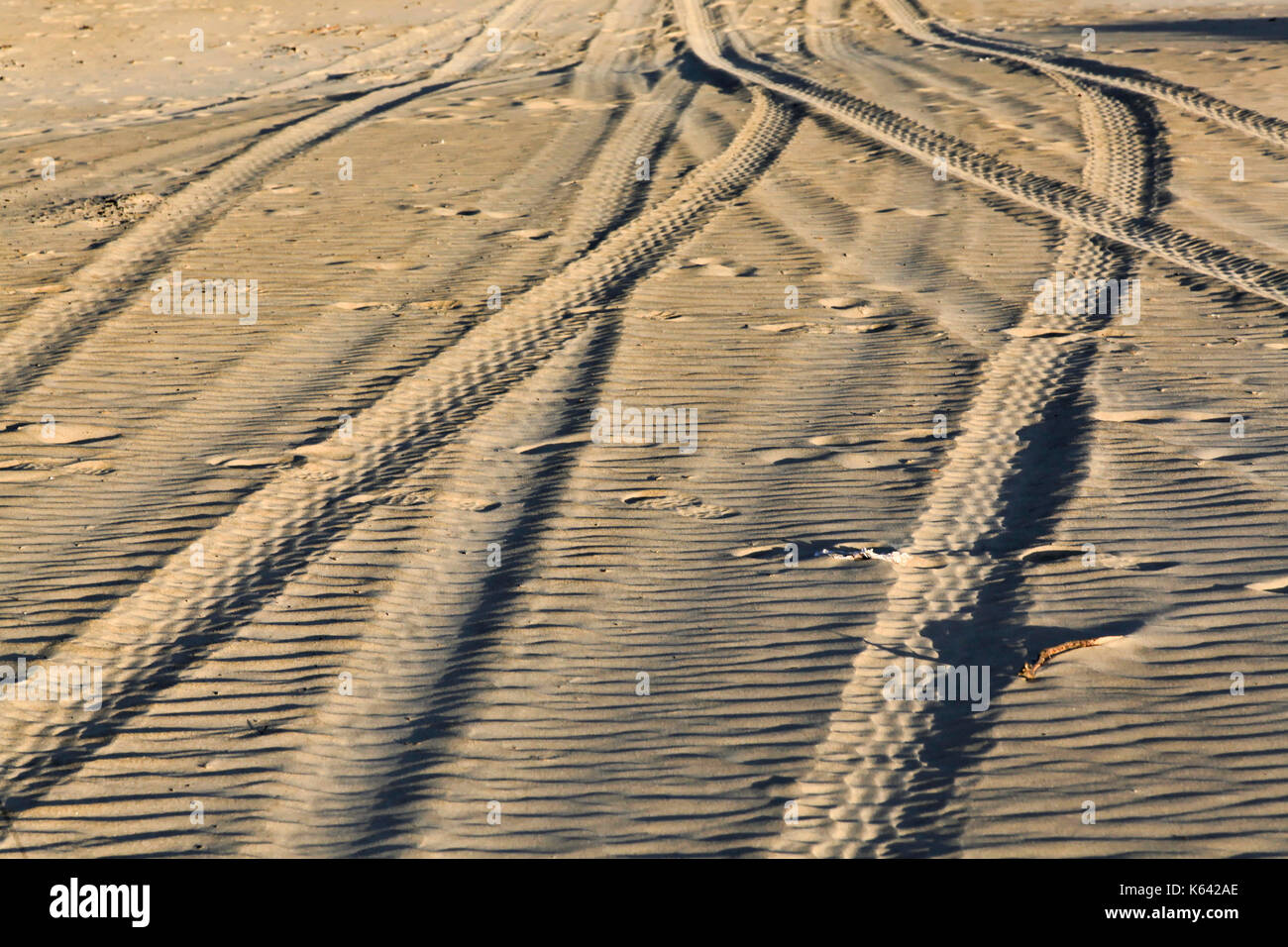 car tyre tracks in the sand on a beach Stock Photo - Alamy