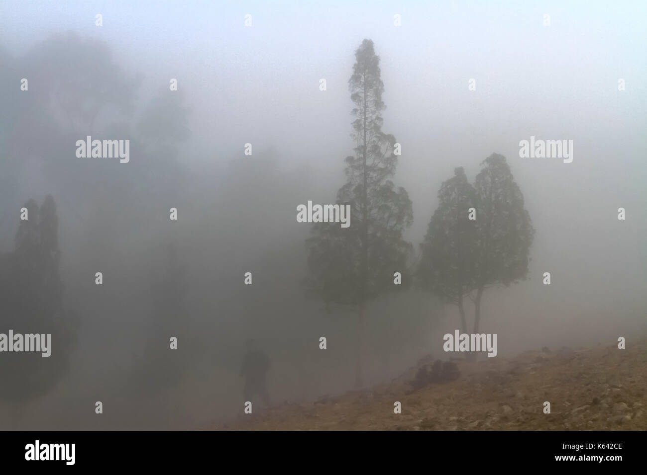 Fog in the desert hi-res stock photography and images - Alamy