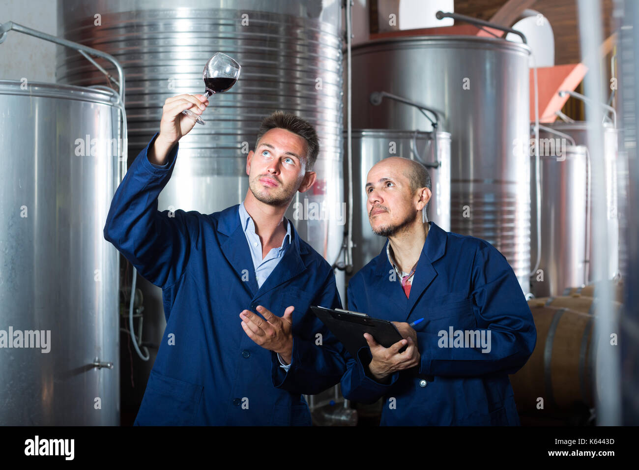 Two male wine experts looking at wine sample in glass and taking notes ...