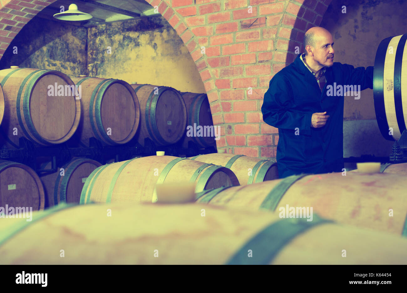 Mature winery worker wearing coat taking notes in wine cellar Stock ...