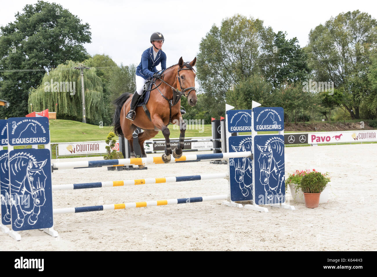 Equestrian rider female hi-res stock photography and images - Alamy