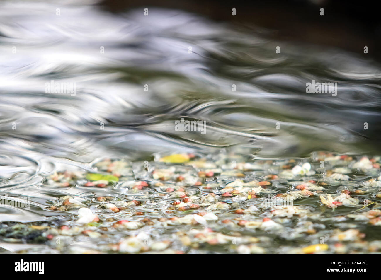Rocks and pebbles in a flowing river Stock Photo - Alamy