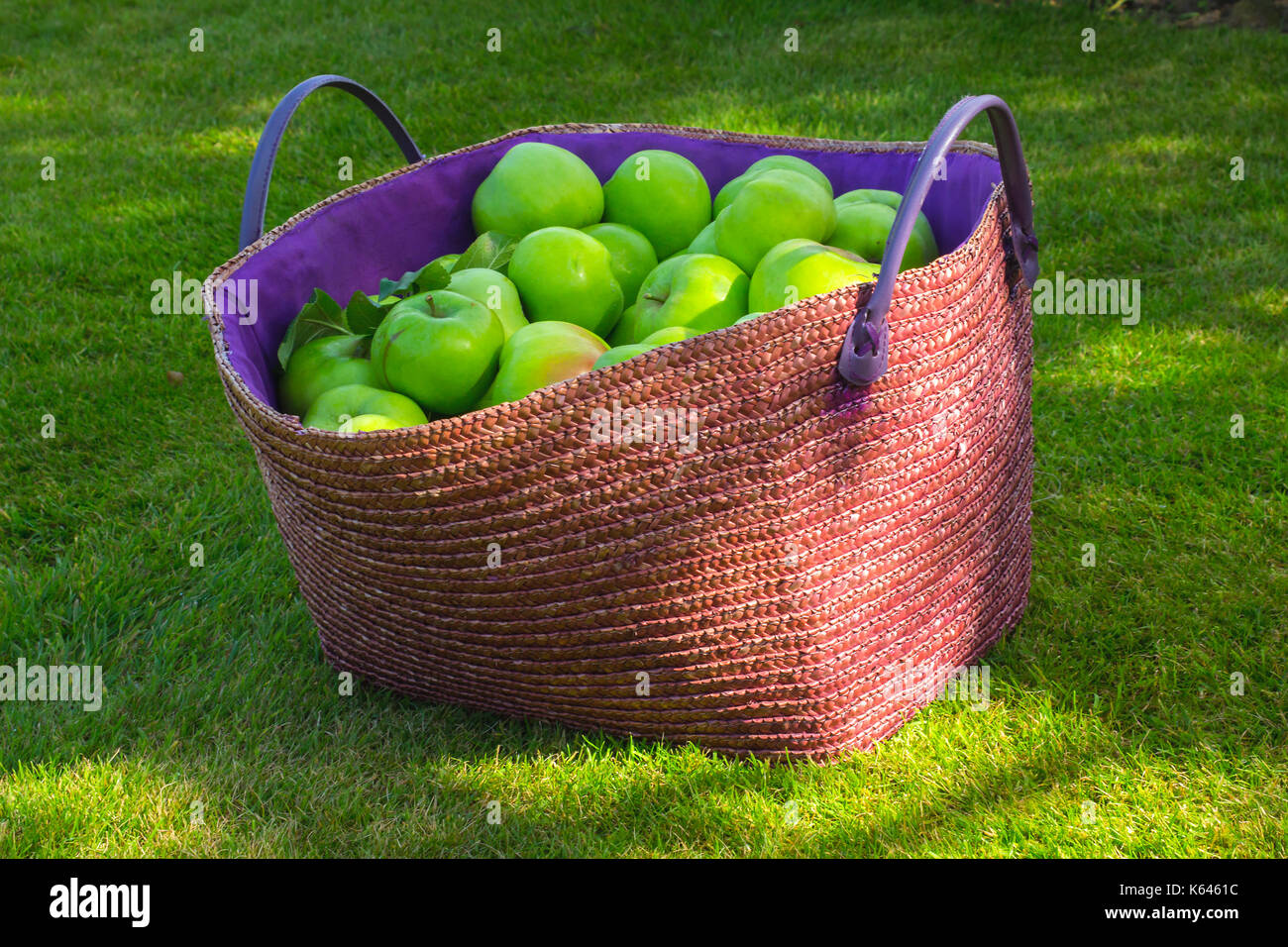 Harvest variety basket hi-res stock photography and images - Alamy