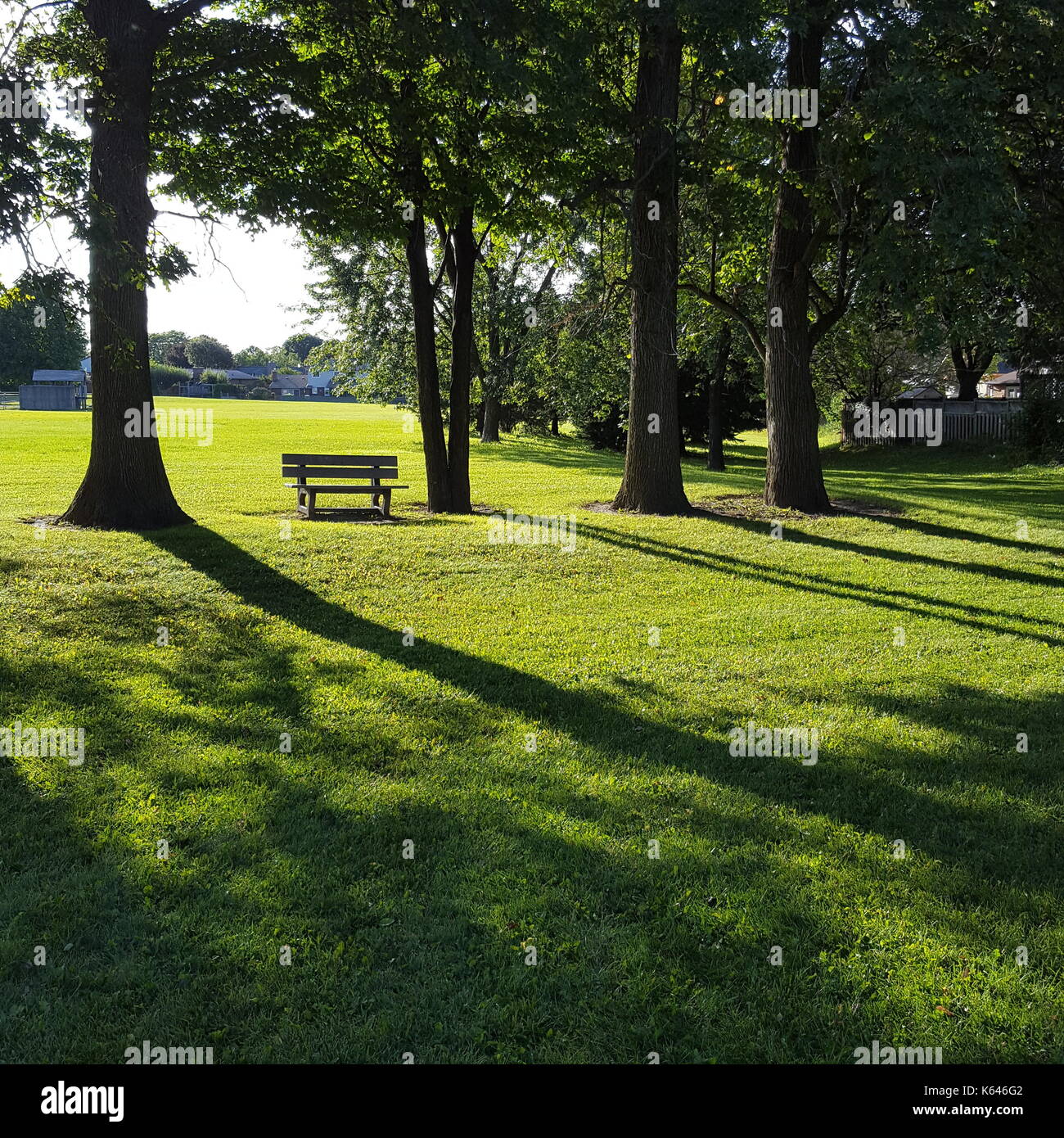Bench grass trees hi-res stock photography and images - Alamy