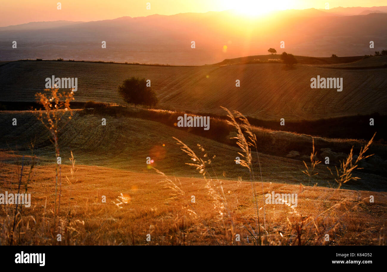 Urumqi. 10th Sep, 2017. Photo taken on Sept. 10, 2017 shows the harvest ...