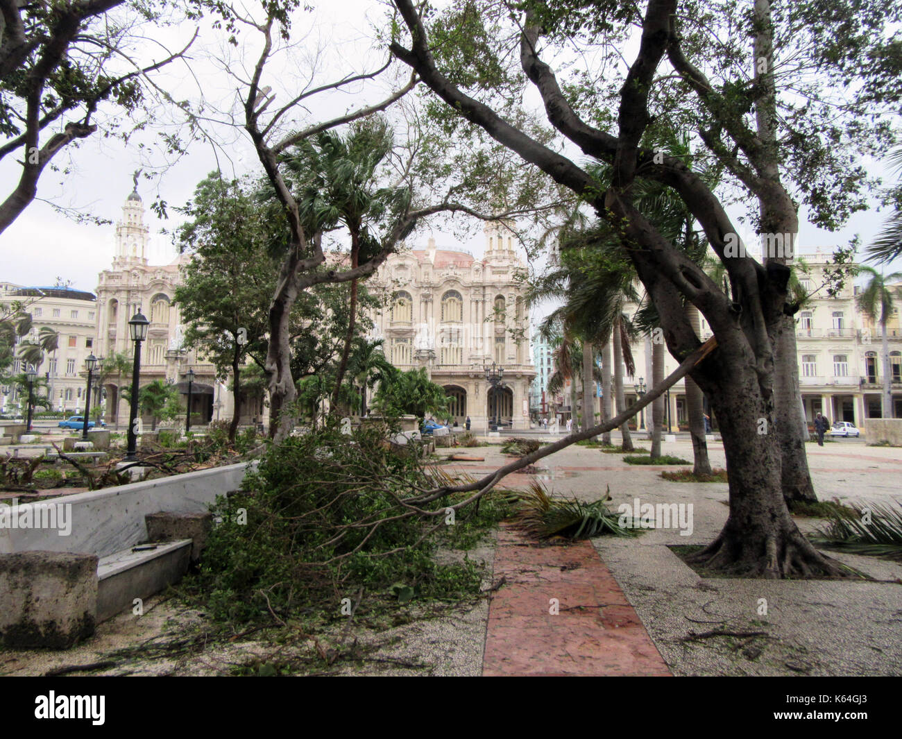 Havana, Cuba. 10th Sep, 2017. Uprooted trees clog a plaza in Havana ...