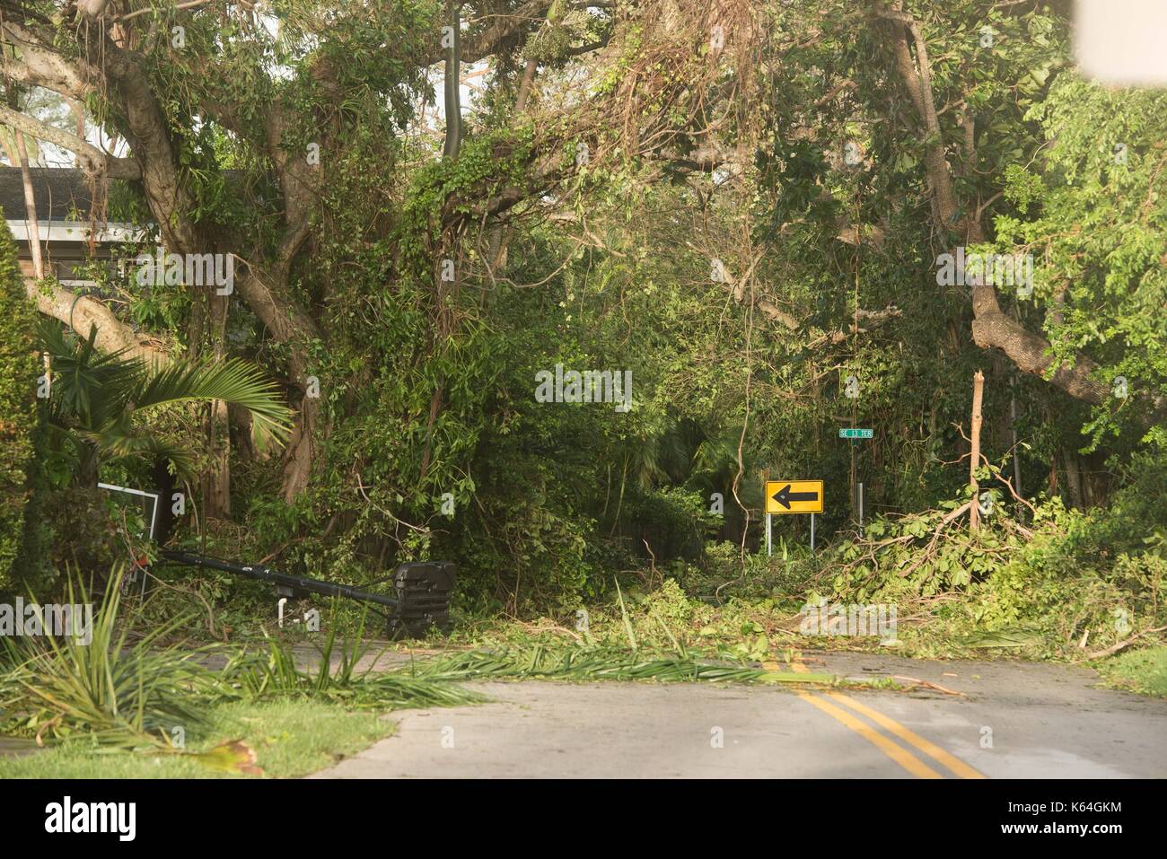 Fort Lauderdale, Florida, USA. 11th Sep, 2017. Tree limbs knocked down ...