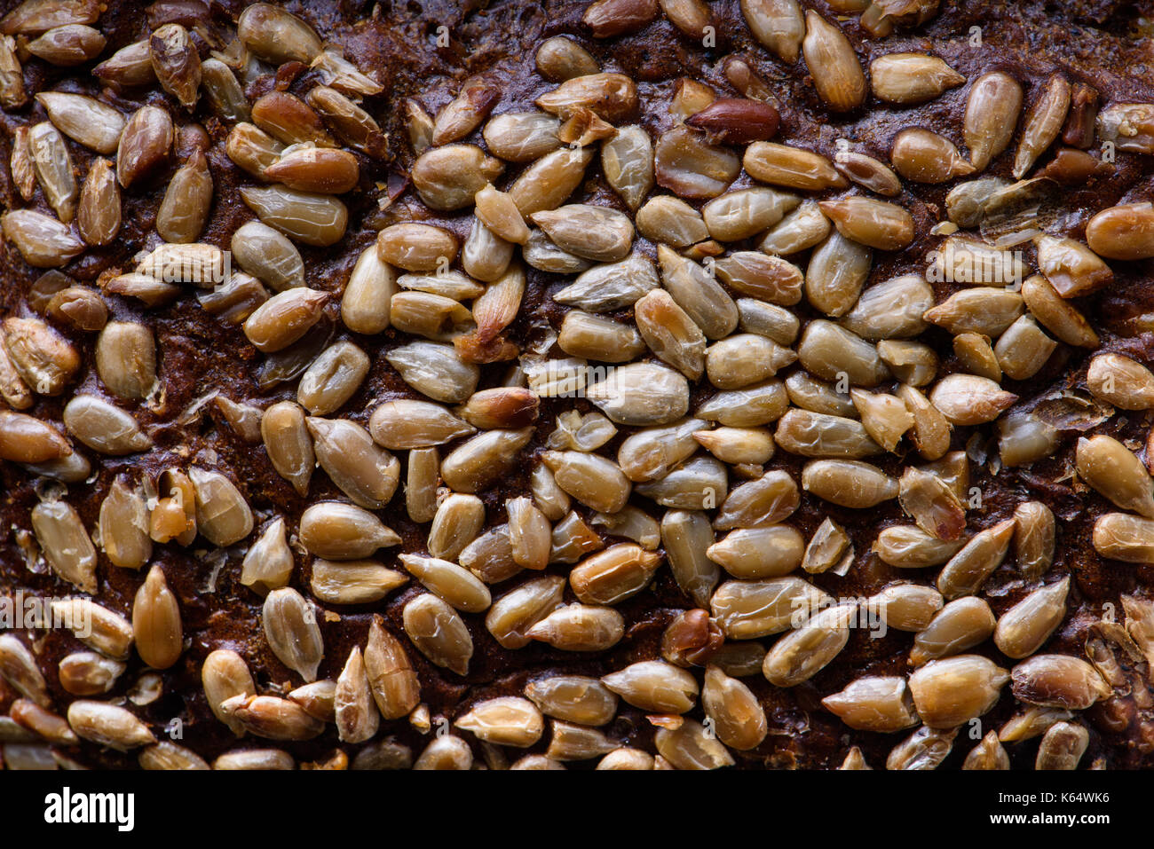 Artisan sourdough rye bread texture, bakery background. Close up ...