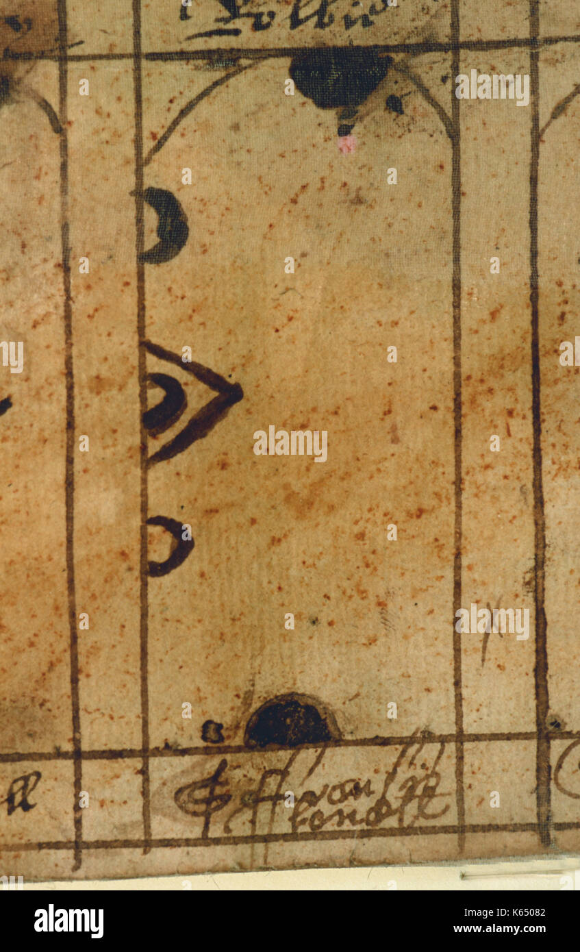 Swan upping beak markings hi-res stock photography and images - Alamy