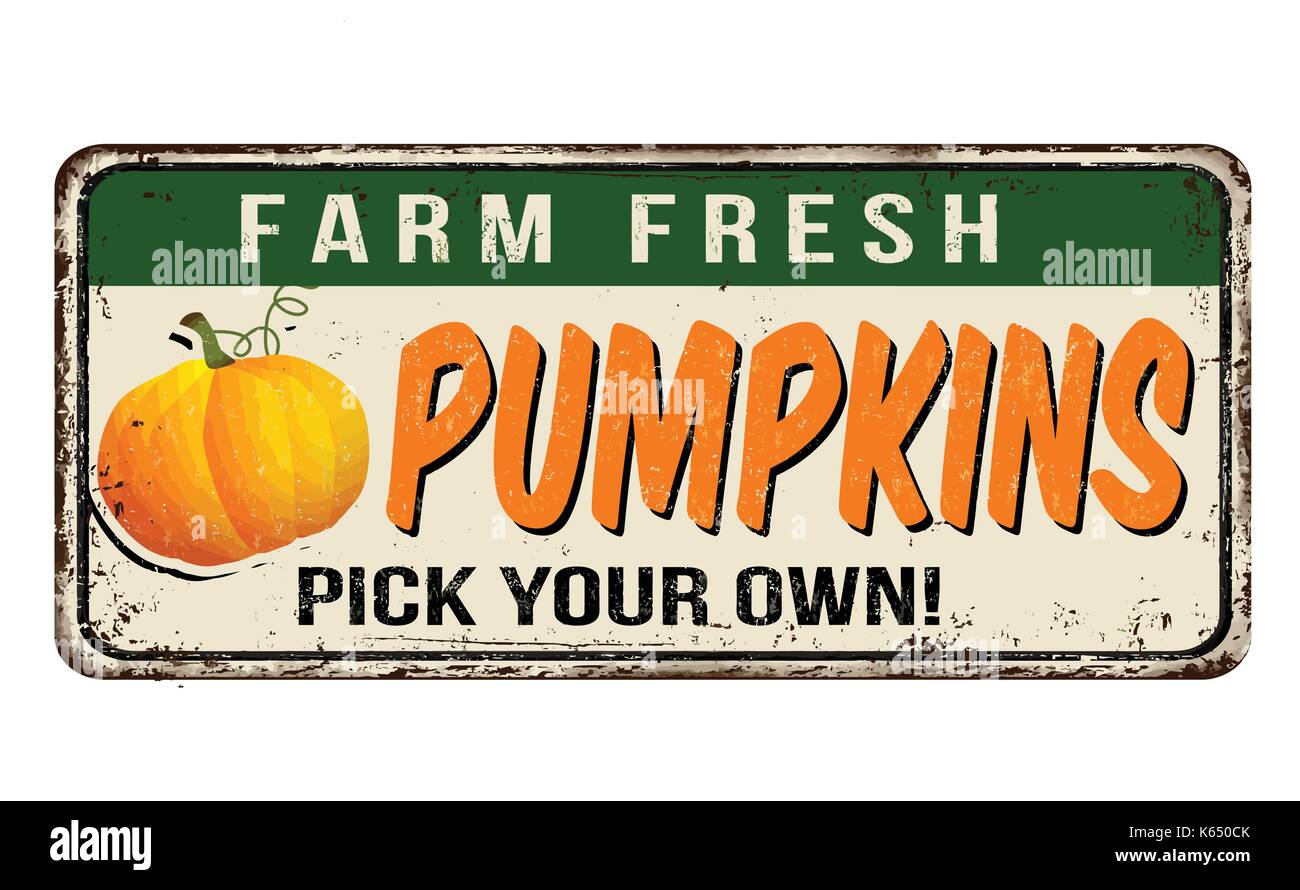 Pumpkins vintage rusty metal sign on a white background, vector ...