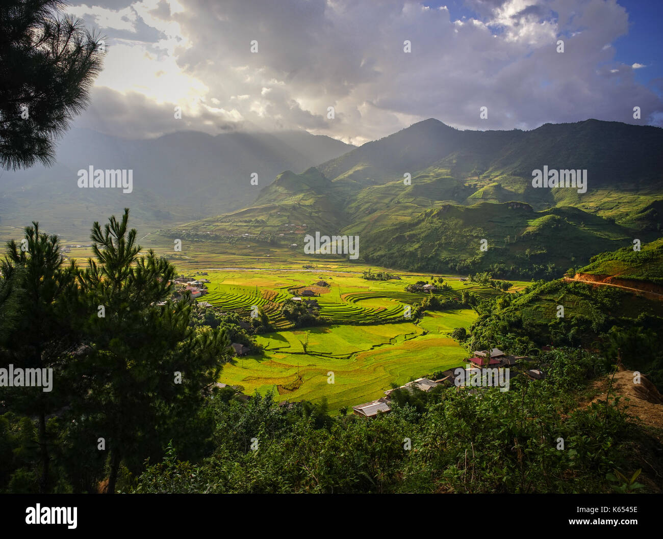 Terraced rice field with mountain background in Sapa, Vietnam. Sa Pa ...