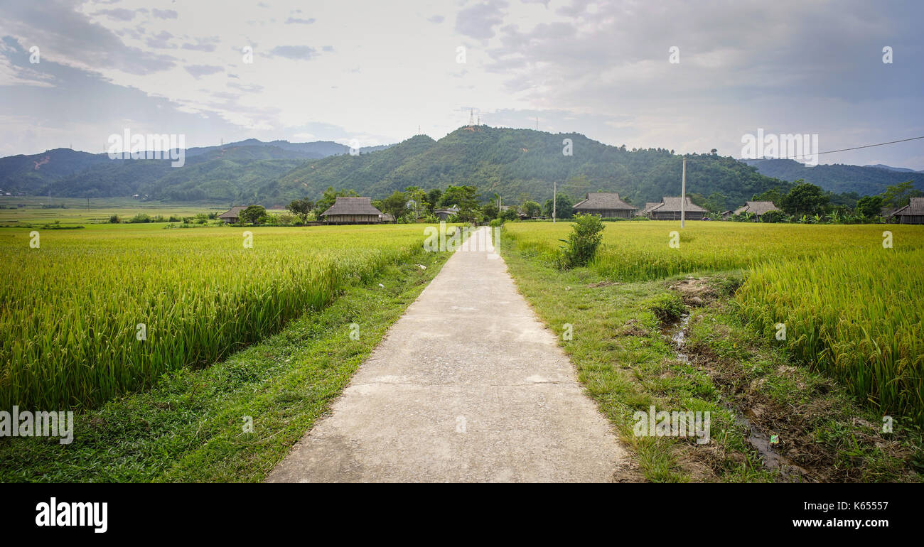 Terraced rice field with rural road in Mai Chau Town, Vietnam. Mai Chau ...