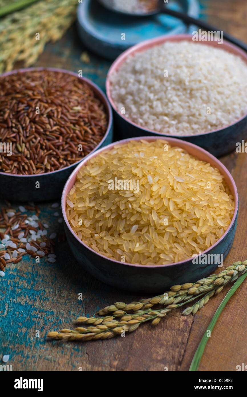 Green rice ears from Camargue Provence, France rice fields and valiety ...